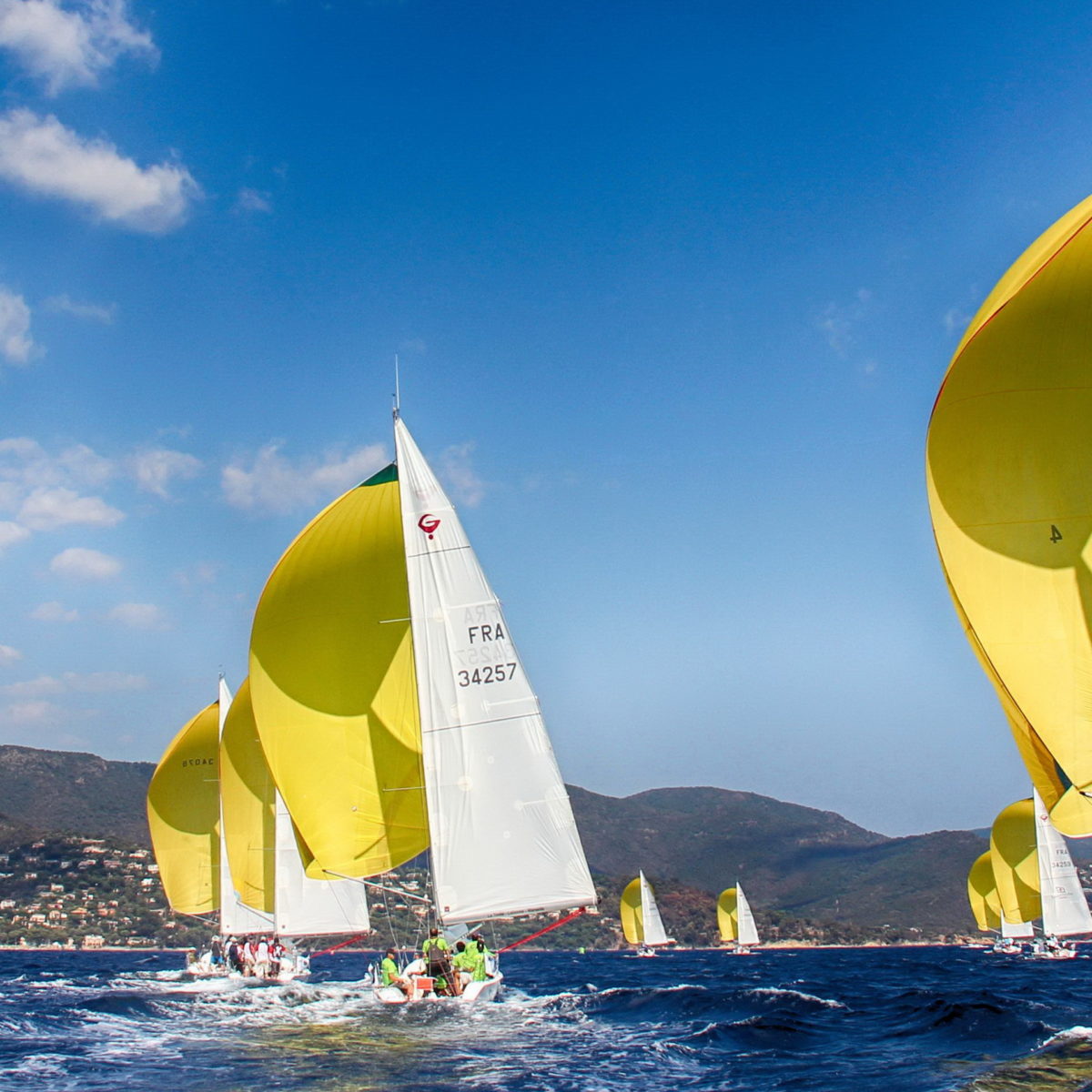 Accueil - Grand Surprise